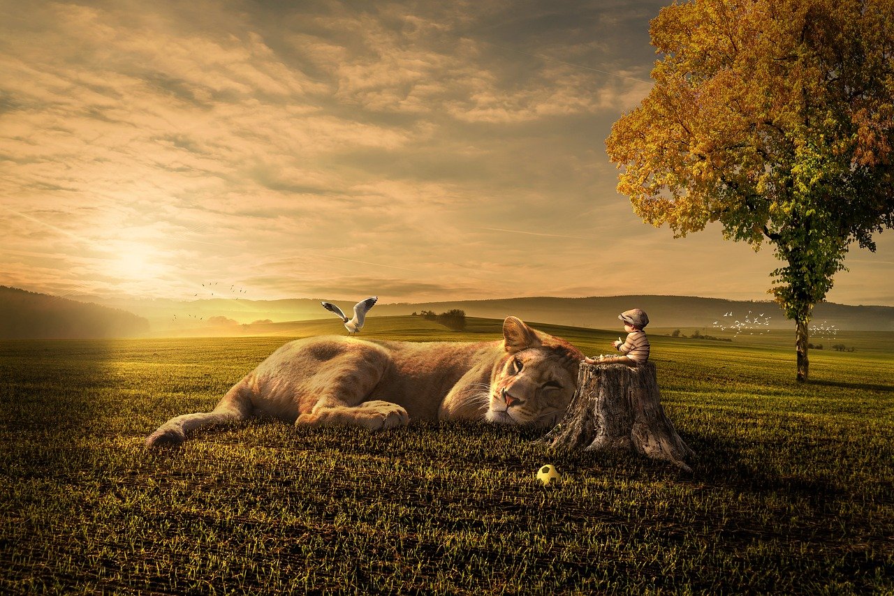 Guarding Your Aussie: Essential Tips for Protection - Australian ...